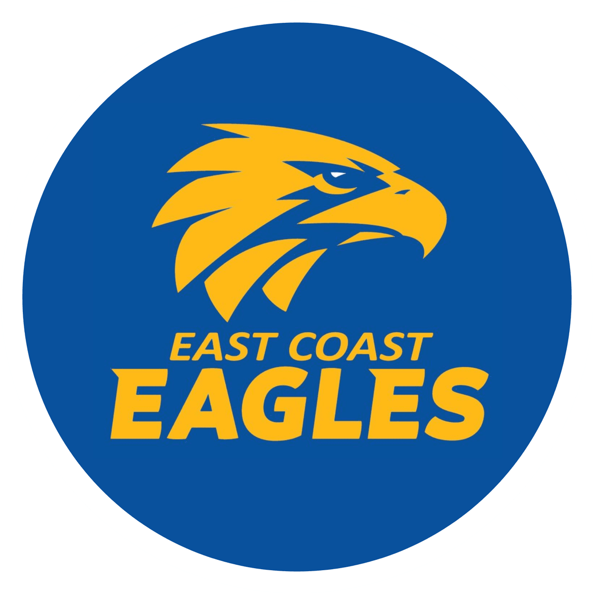 Replay: South West Sydney Blues vs East Coast Eagles (Round 16 (Men's ...